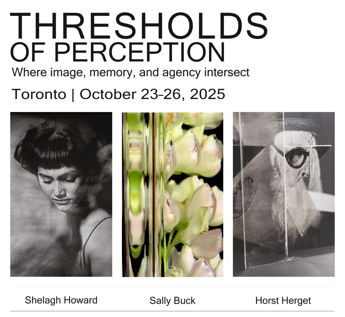 Thresholds of Perception